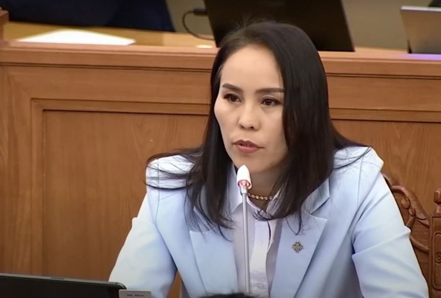 Хүний эрхийн дэд хорооны даргаар УИХ ын гишүүн Ц Мөнхцэцэгийг сонгожээ